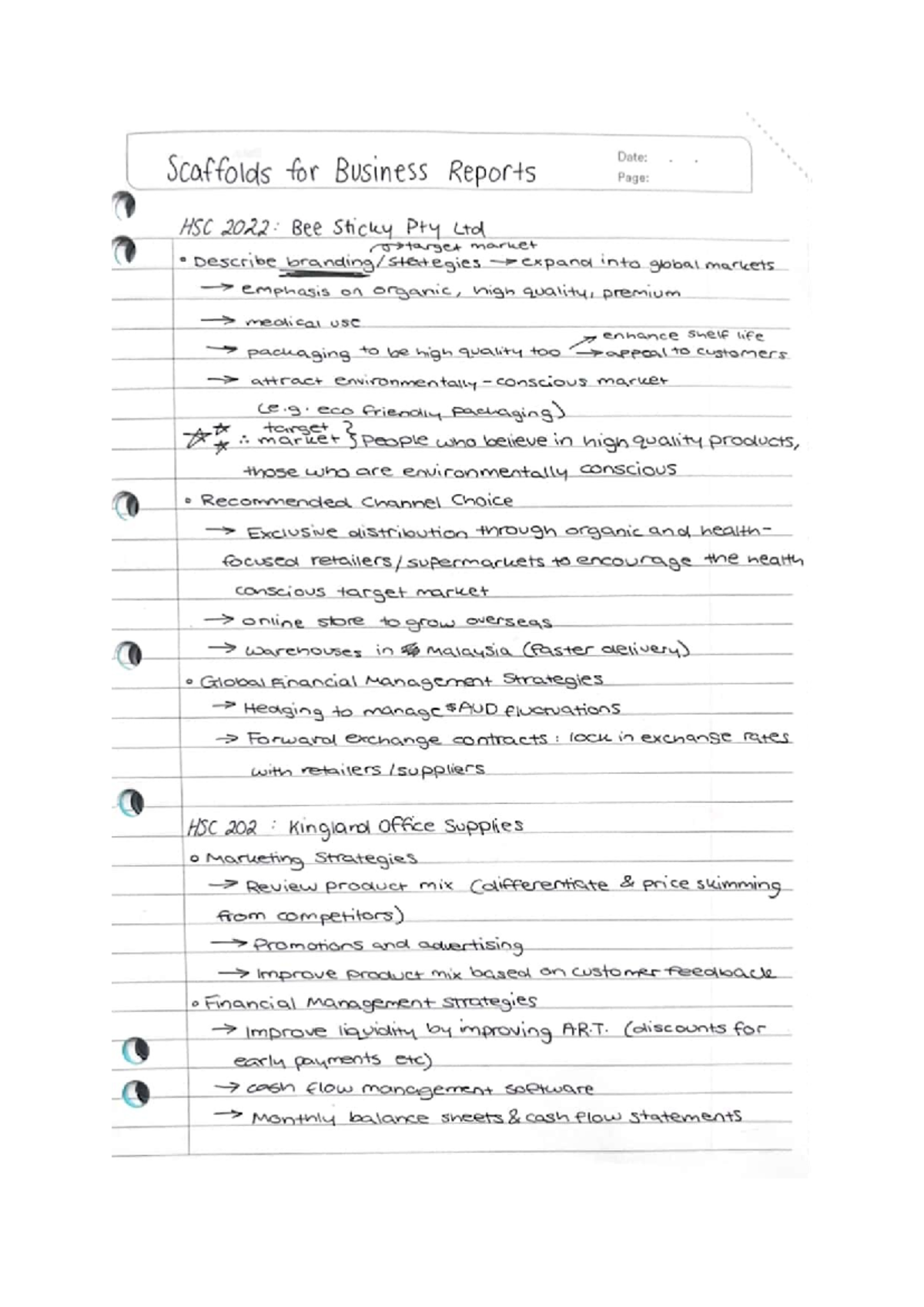Scaffold for Business Reports: HSC 2022 - Bee Sticky Pty Ltd Strategy ...