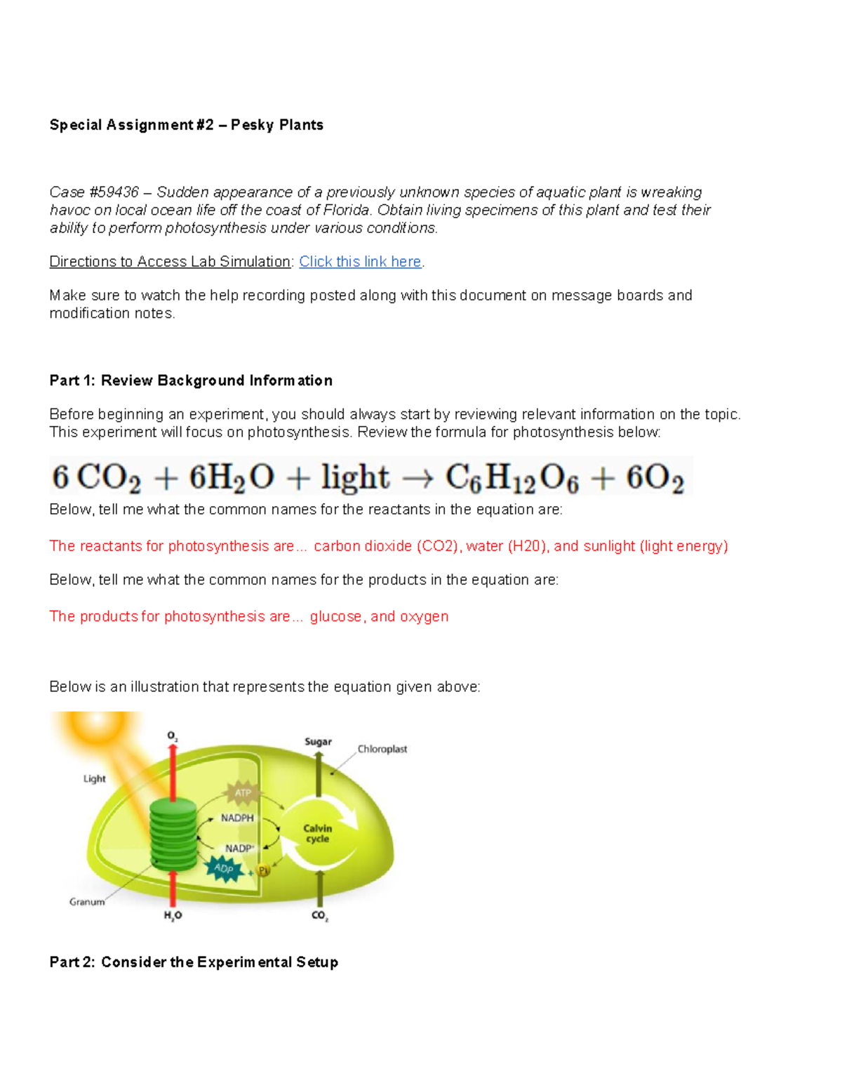 Biology A Unit 5: Special Assignment on Aquatic Plant Photosynthesis ...