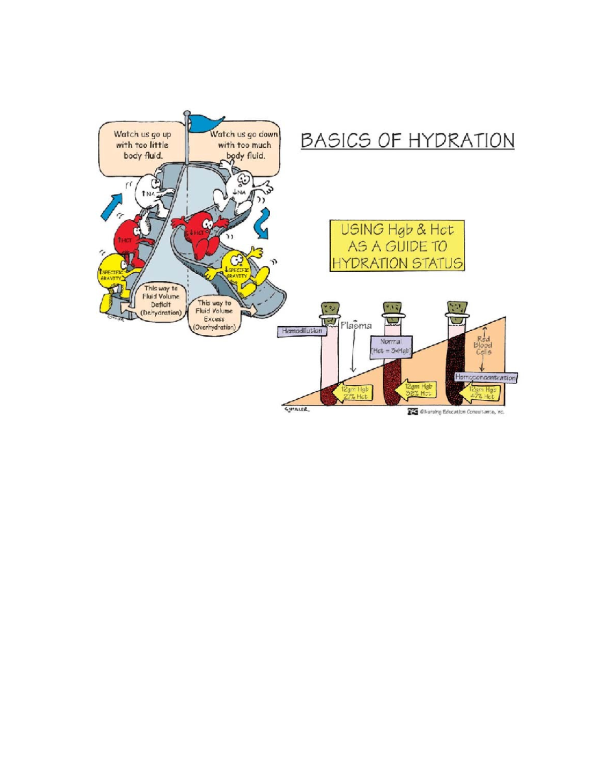 Fluid Balance Infographics: Understanding Hydration Status and Effects ...
