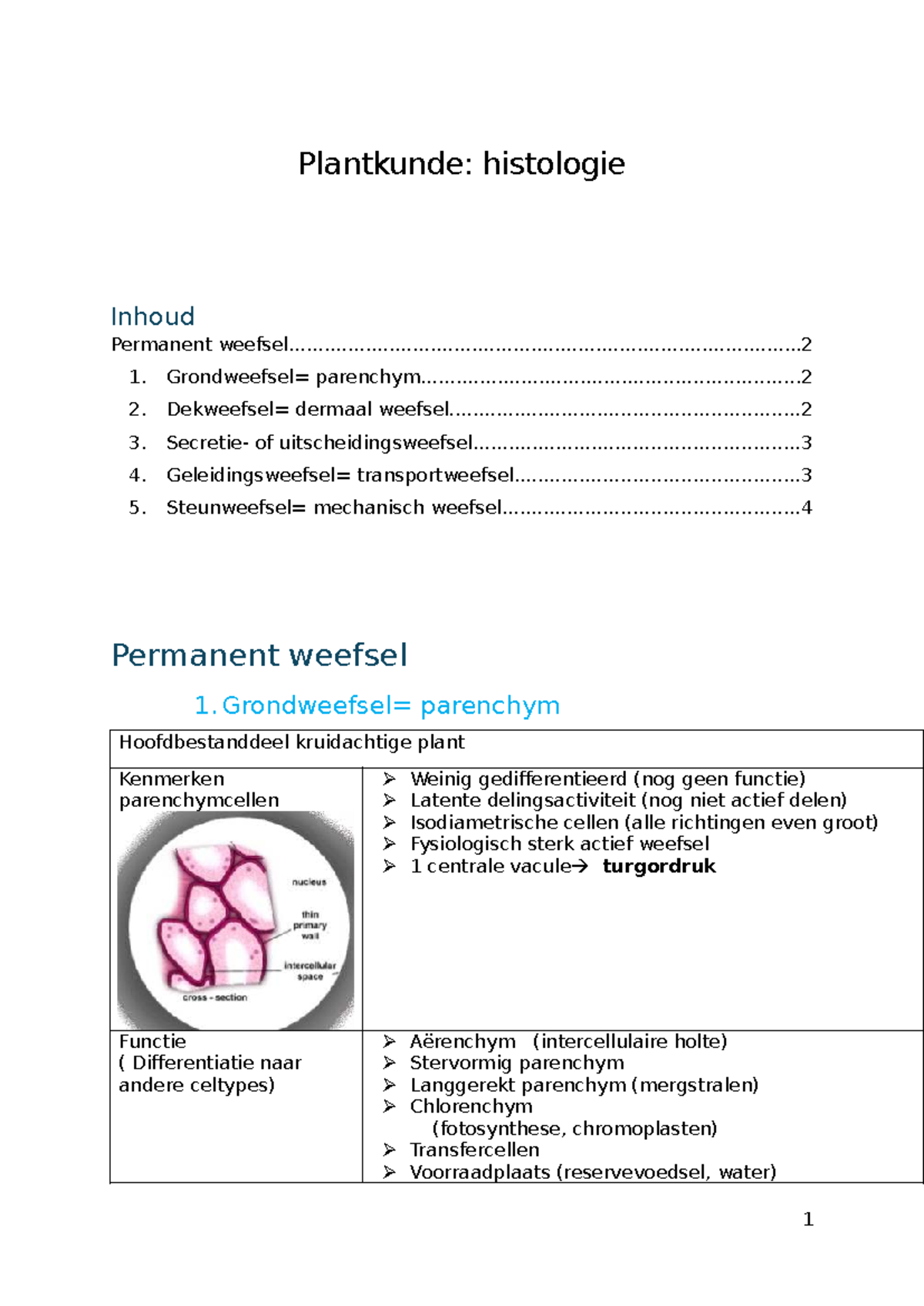 Plantkunde: Histologie van Permanent Weefsel en Functies - Studocu