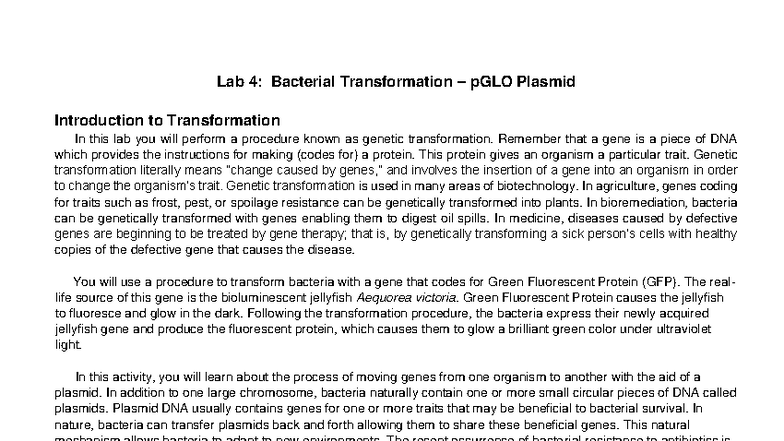 Lab 4: pGLO Plasmid Bacterial Transformation Overview - Studocu