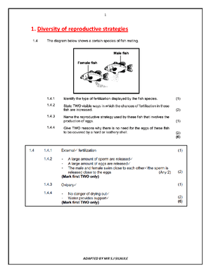 N3 Mechanotechnology Lecturer Guide - N Mechanotechnology Lecturer ...