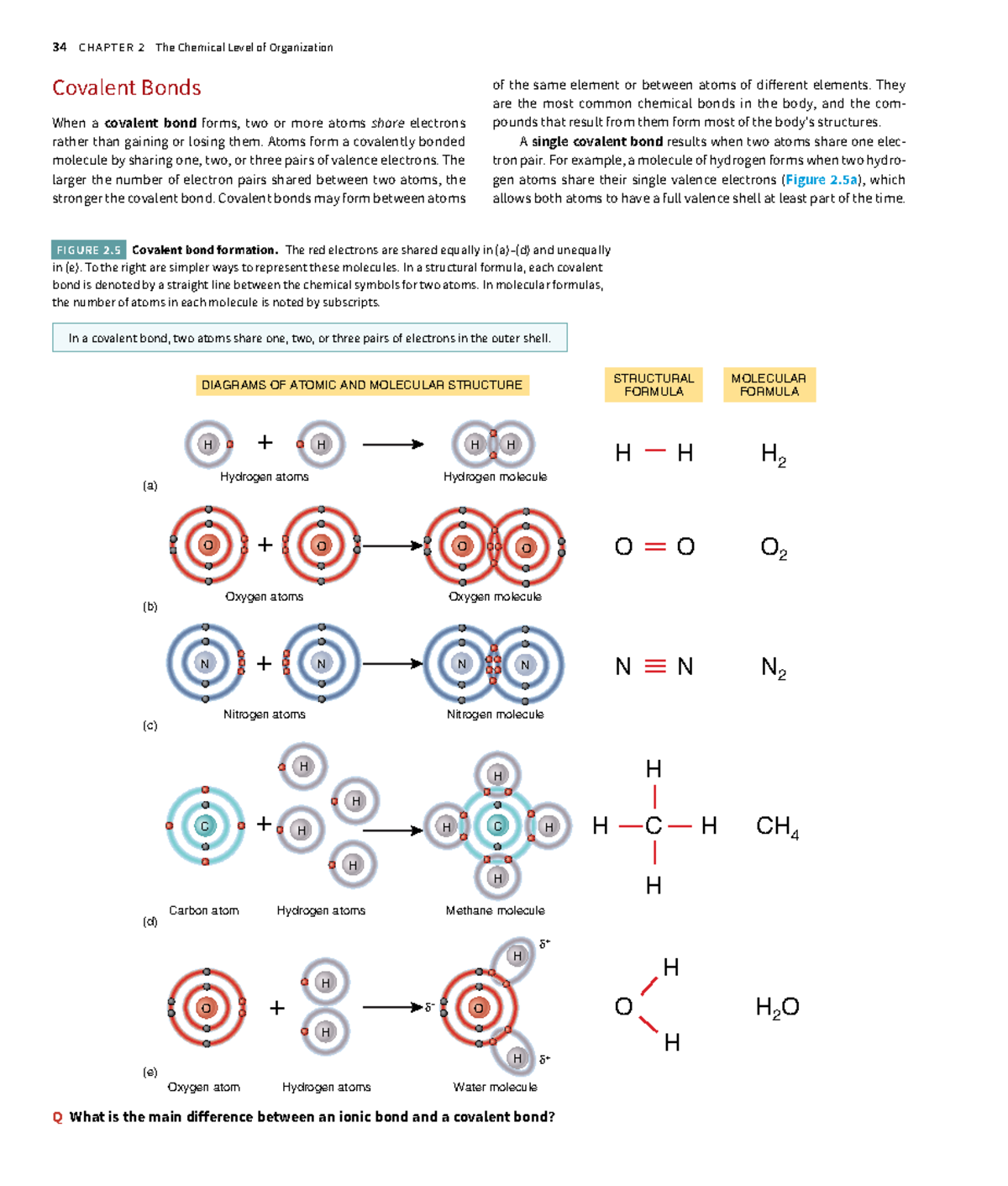 Biochem 2 - Chapter 2: Covalent Bonds and Molecular Structures - Studocu