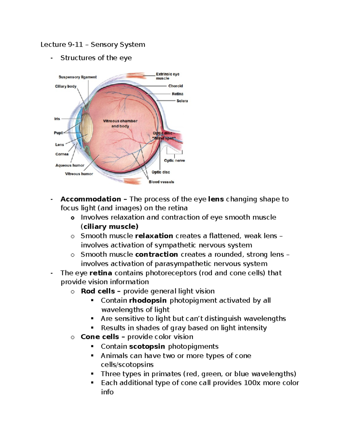 Lecture Notes on Sensory Systems (BIO 101): Vision, Hearing, Taste ...