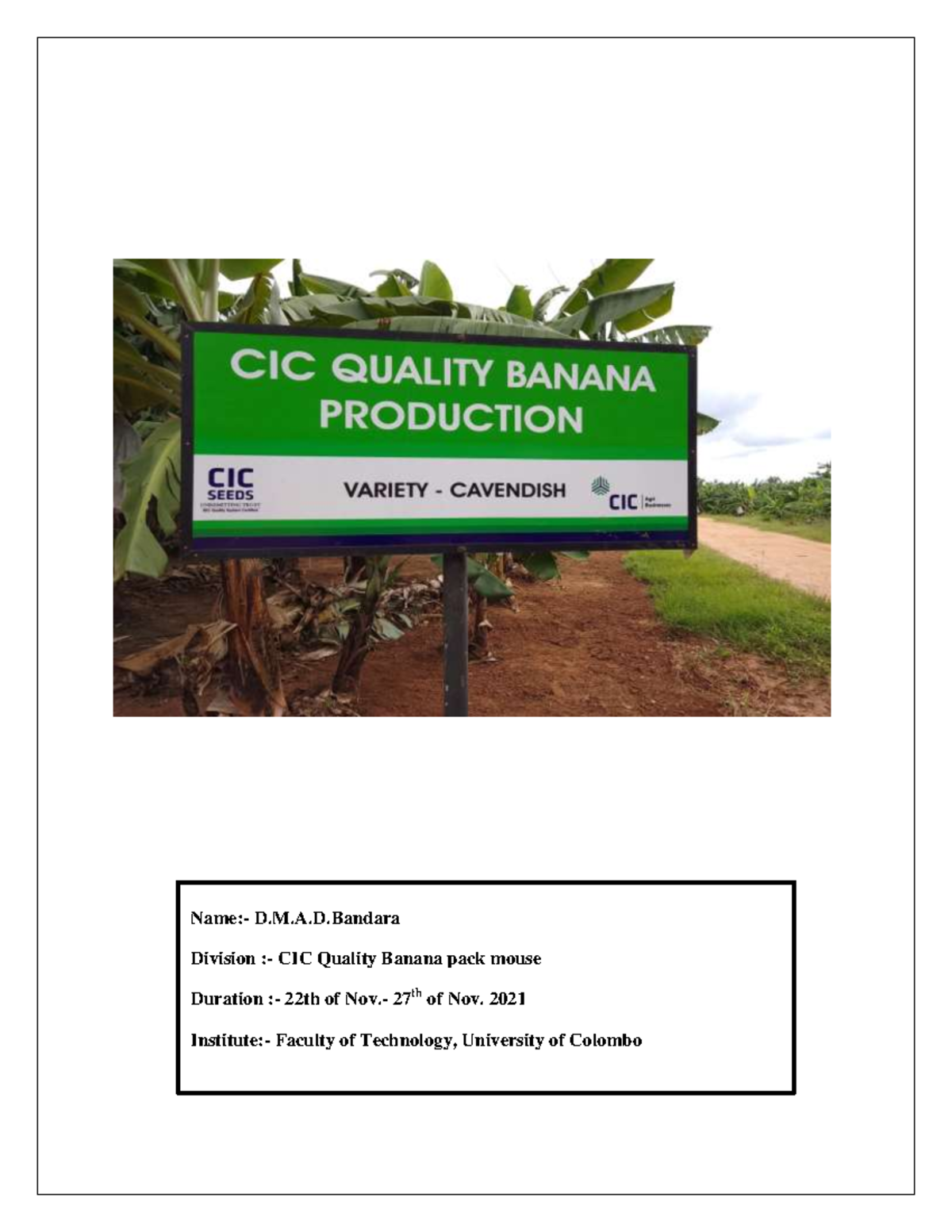 CIC Quality Banana Unit - Name:- D.M.A.D Division :- CIC Quality Banana ...