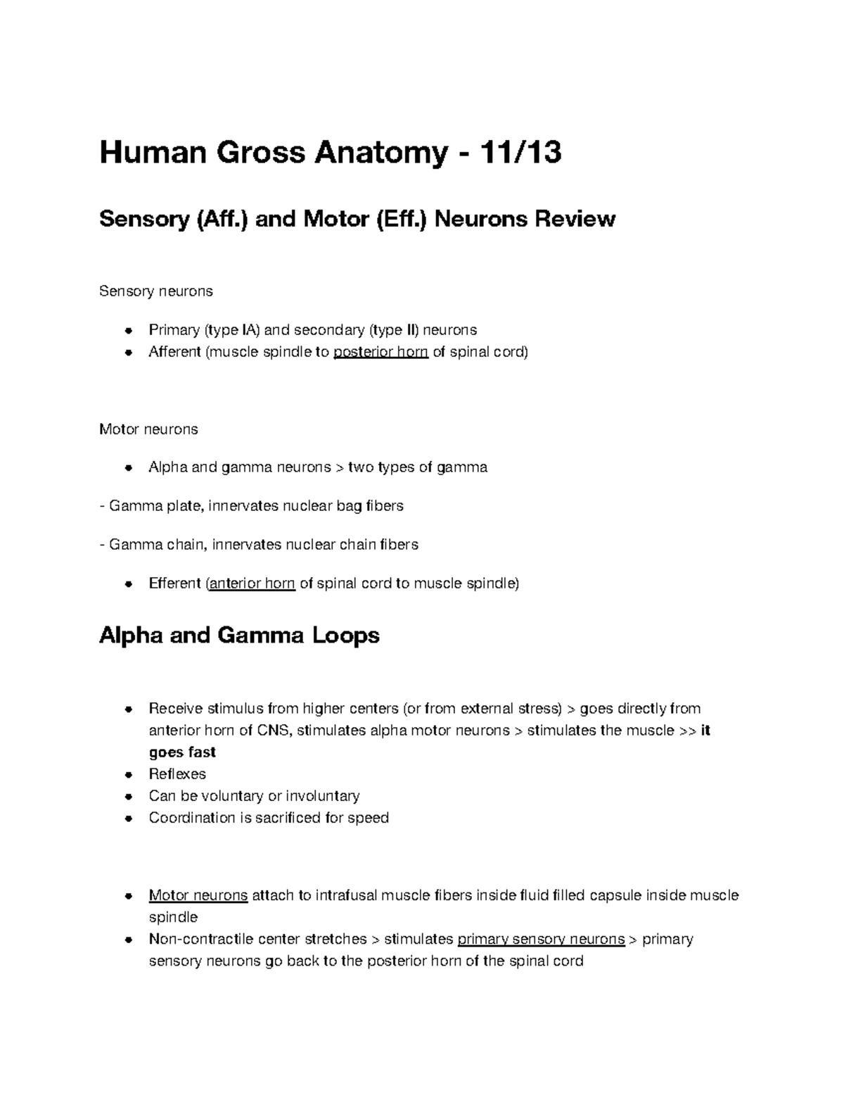 Quiz IV Notes: Human Gross Anatomy of Neurons and Brain Structures ...