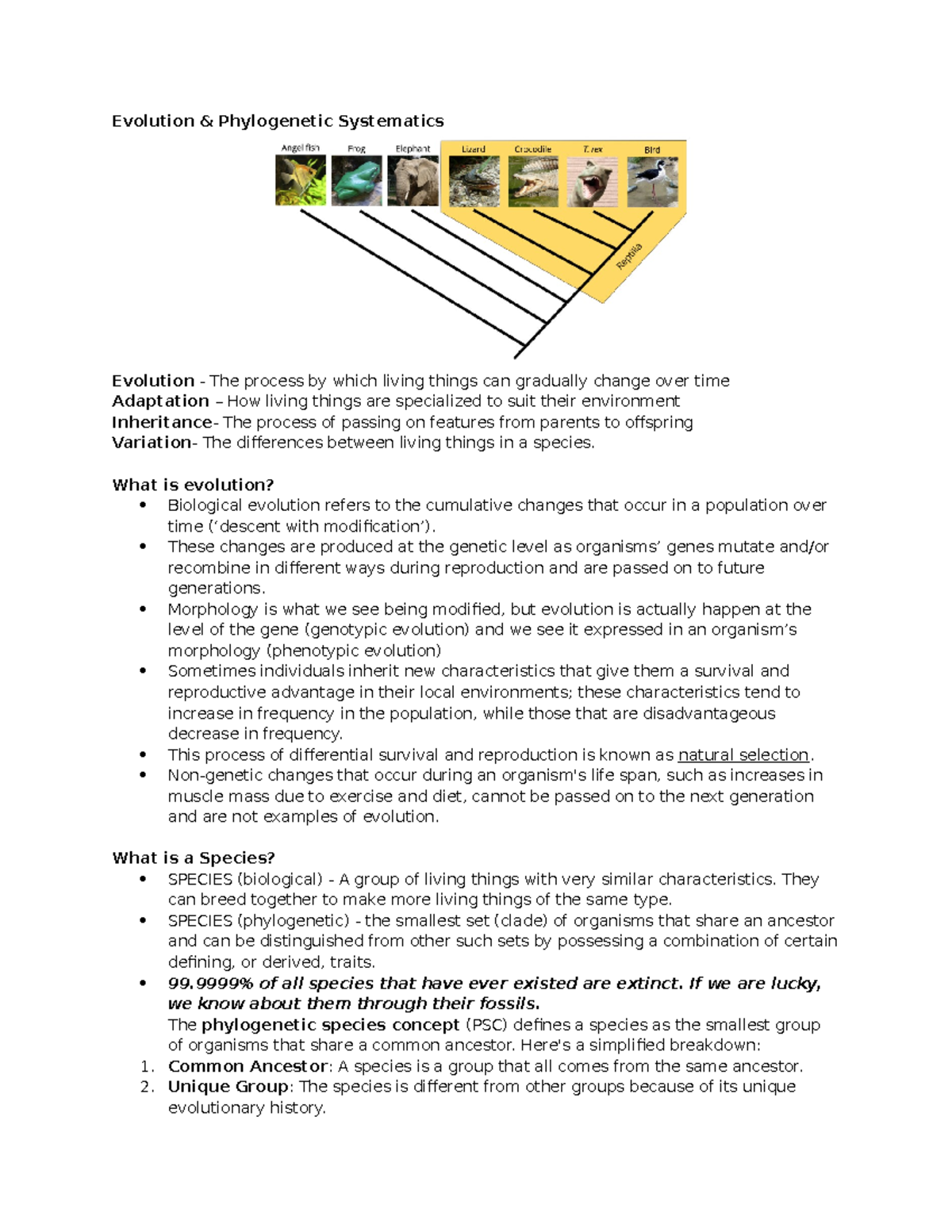 Lecture 4 - Phylogency and Cladograms Notes - Evolution & Phylogenetic ...