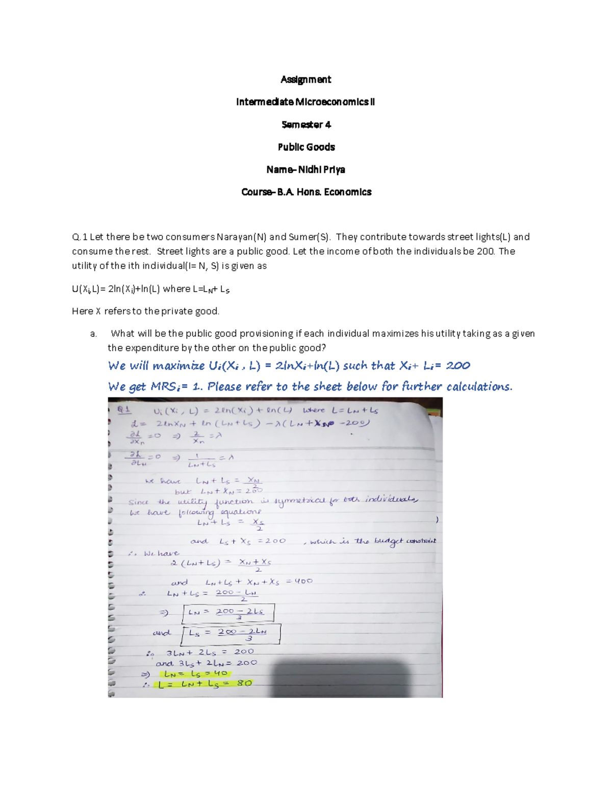 Public Goods Problem Set - Intermediate Microeconomics LL Semester 4 ...