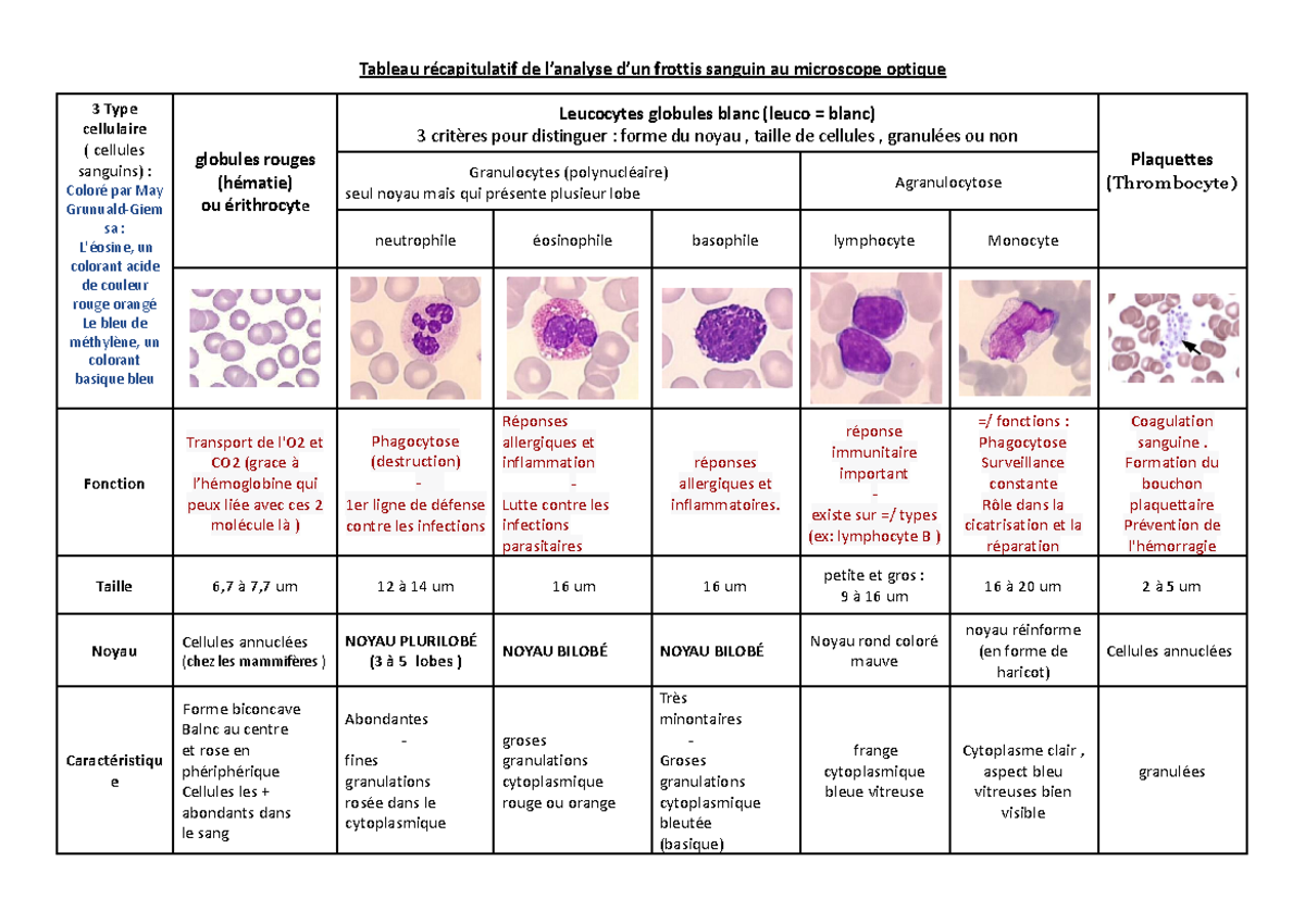 Tableau récapitulatif Frottis sanguin - Tableau récapitulatif de l ...