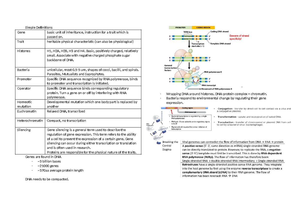 Biol1020 - Simple Definitions Gene basic unit of inheritance ...