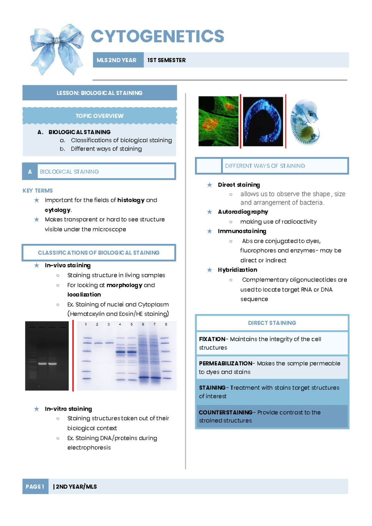 CYTOGENETICS MLS 2ND YEAR 1ST SEMESTER LECTURE NOTES: BIOLOGICAL ...