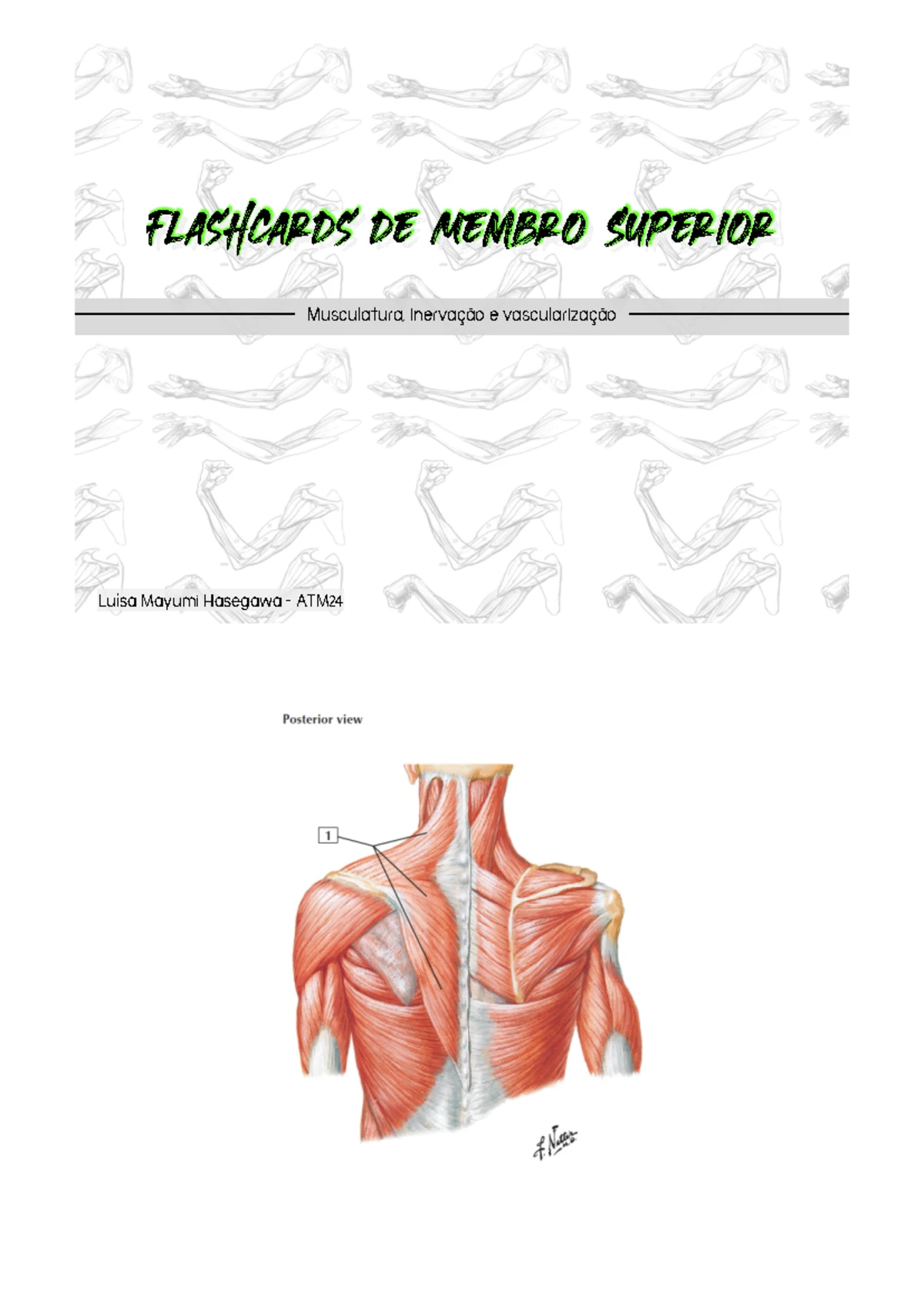 Músculos do membro superior - tabela de origens, funções e inserções ...