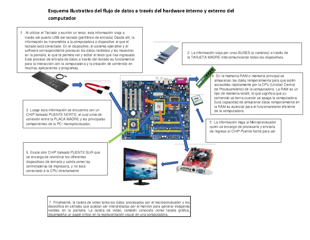 Flujo de datos a través del hardware - La tarjeta de video, también conocida como tarjeta ...
