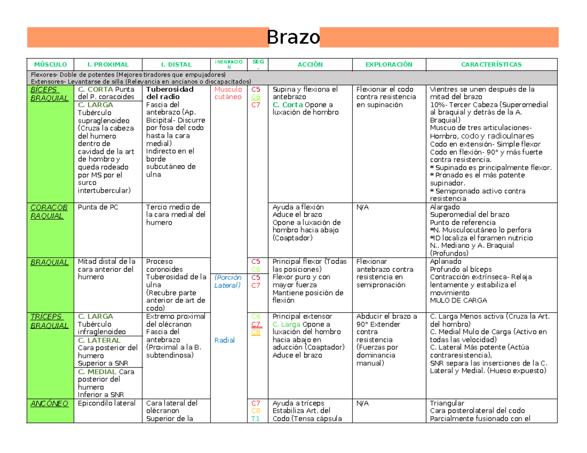 Brazo - TABLA BASADA EN EL MOORE - Brazo MÚSCULO I. PROXIMAL I. DISTAL ...