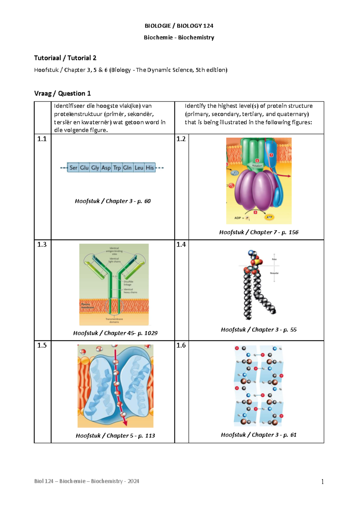 Biol 124 - Biochemie Tutorial 2: Protein Structure & Cellular ...