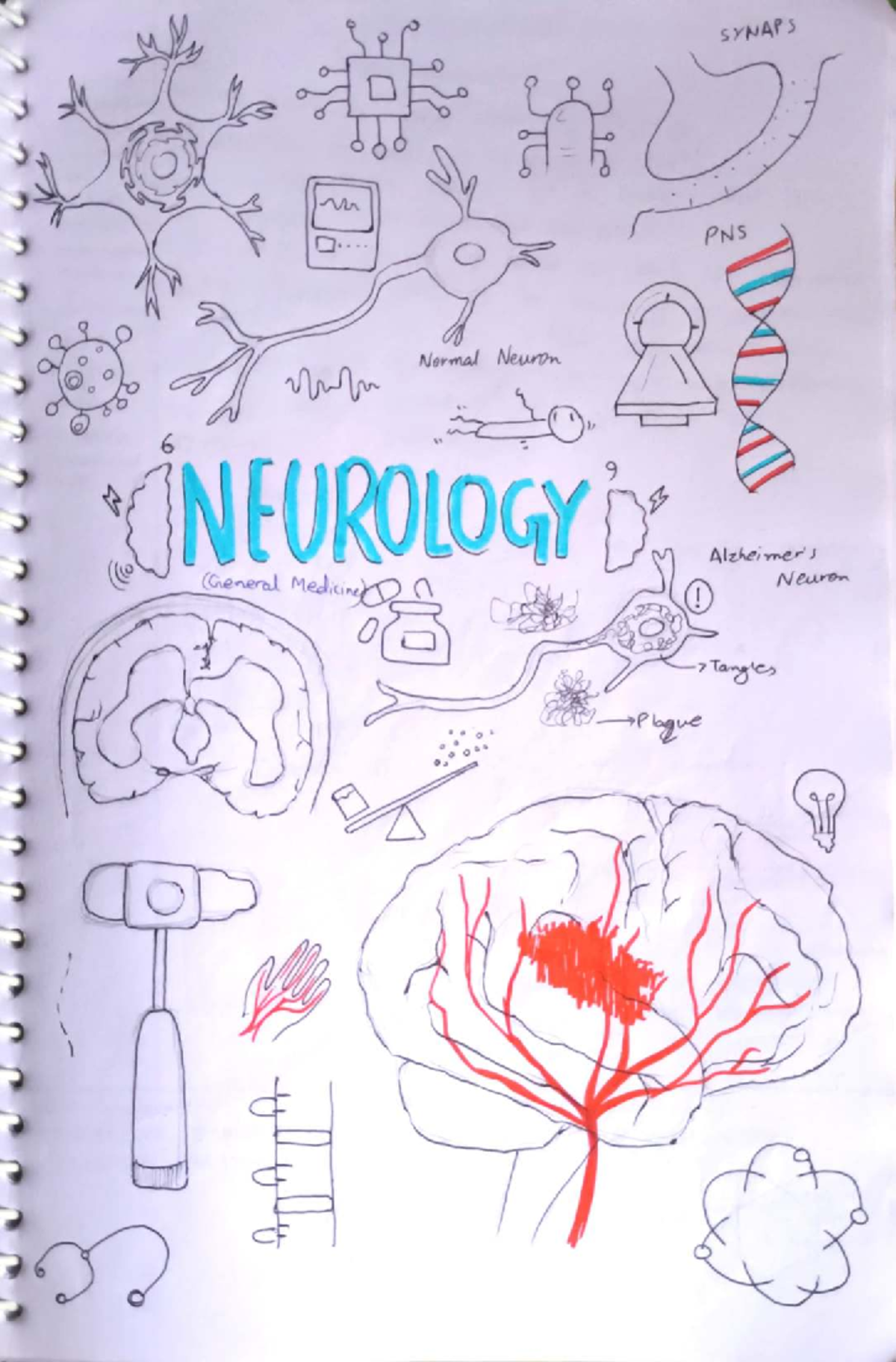 Neurology Class Notes: PNS Normal Neuron Assessment & Examination - Studocu