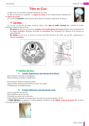 Cours 4 - Anatomie Thoracique - Warning: TT: undefined function: 32 Warning: TT: undefined ...