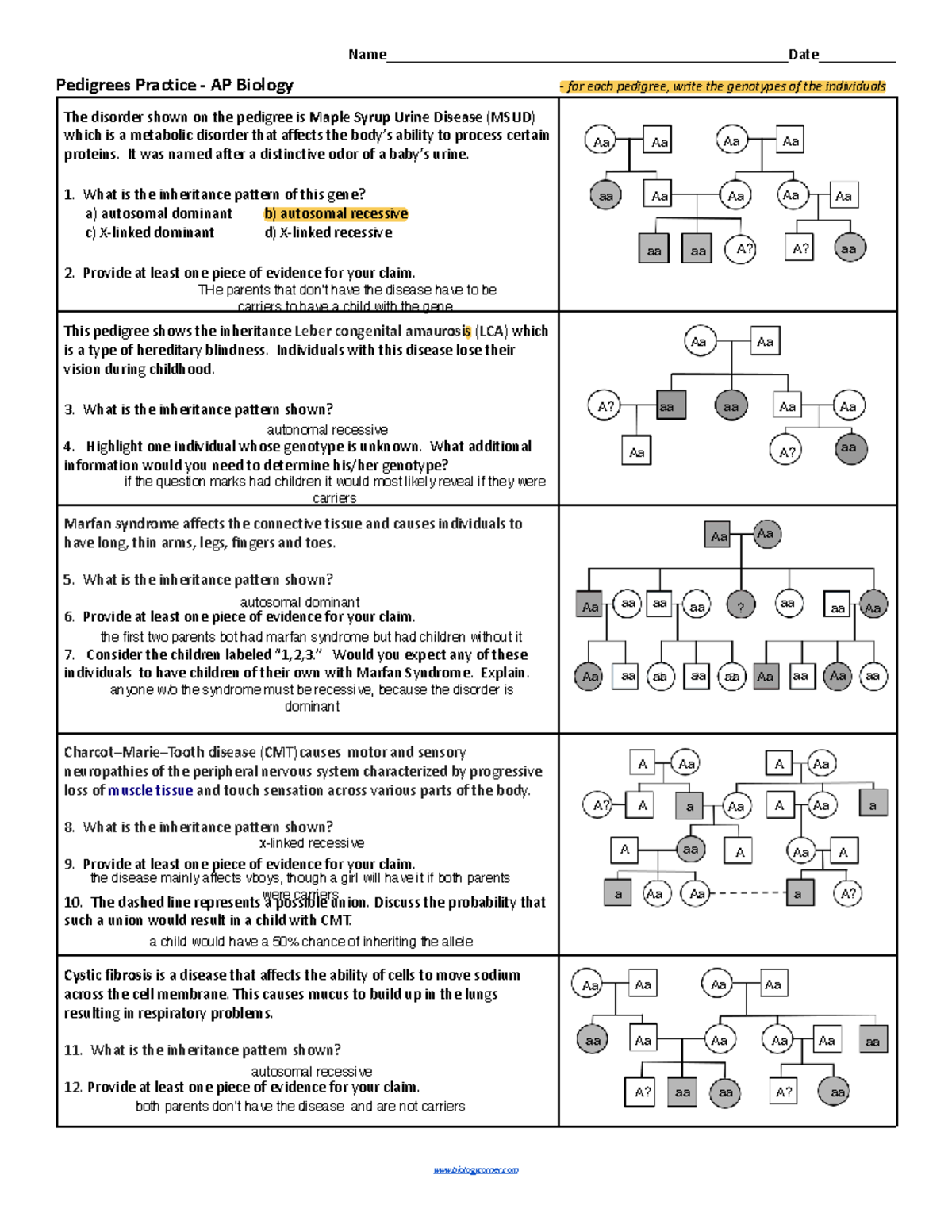 Pedigrees Practice 2 - AP Biology: Inheritance Patterns & Genotypes ...
