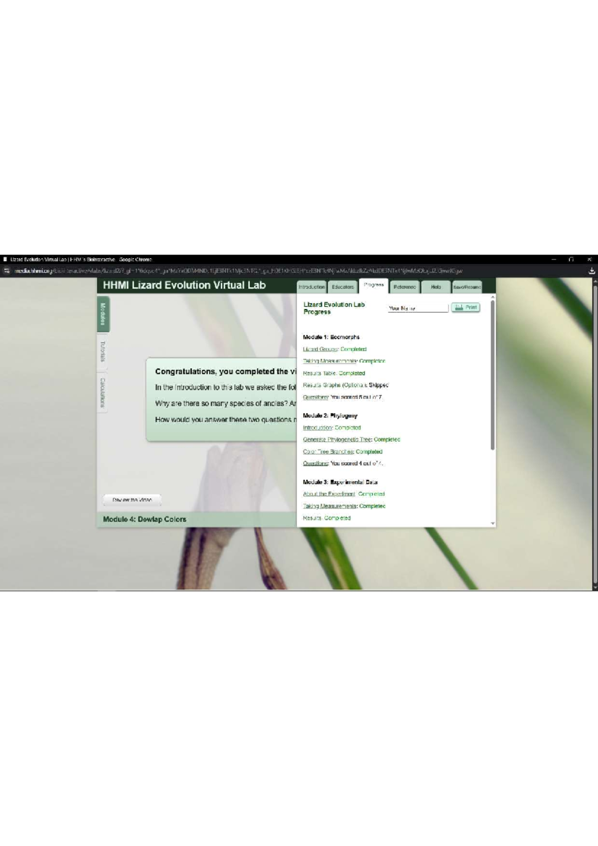 Biolnteractive Lizard Evolution Lab Summary (HHMI) - Studocu
