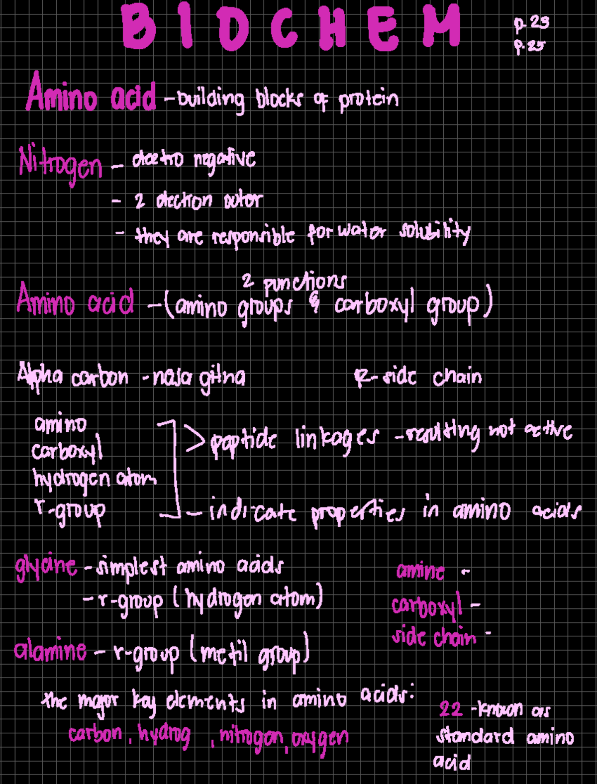 Biochem - notes - BIO C H E M Amino acid building blocks of protein ...