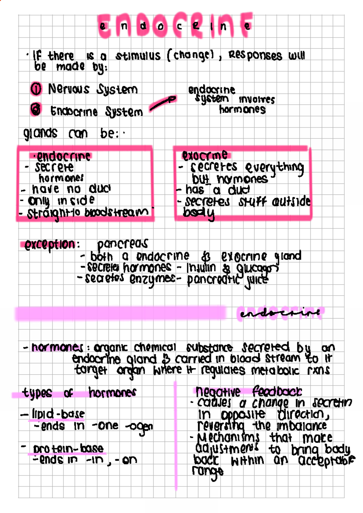 Endocrine System Overview: Hormones, Glands, and Functions - Studocu