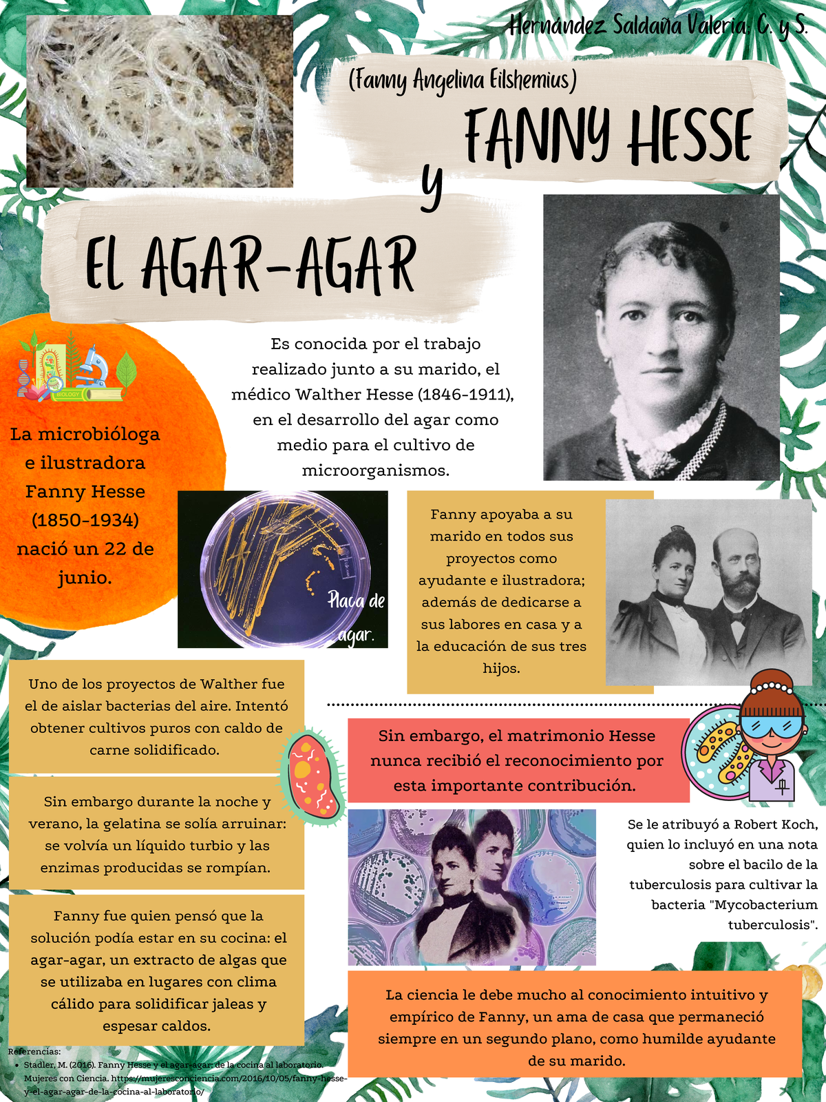 Mujeres En La Ciencia: La Importancia de Fanny Hesse y el Agar-Agar ...