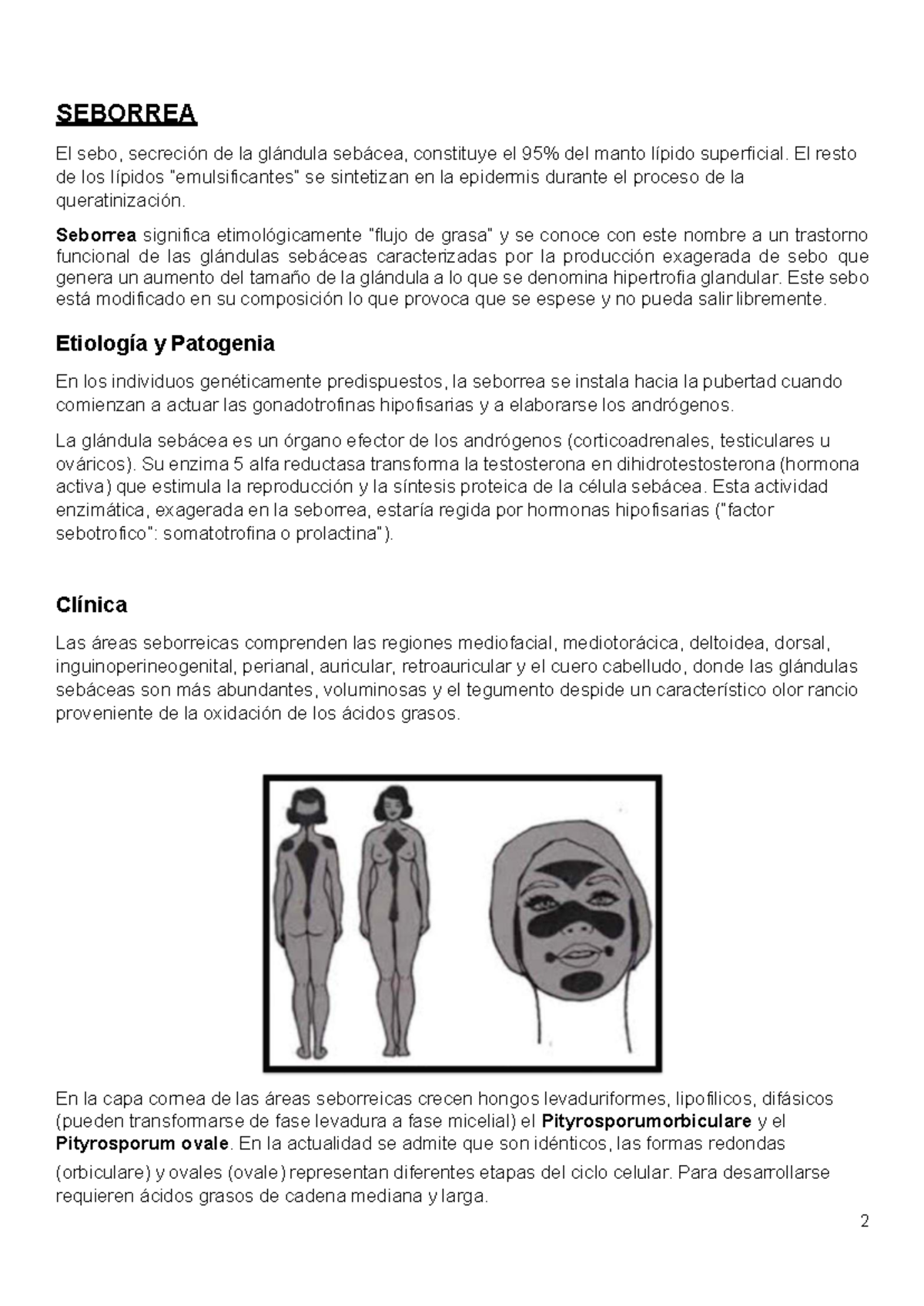 Acné y Seborrea: Etiología, Patogenia y Tratamiento (SEB-101) - Studocu