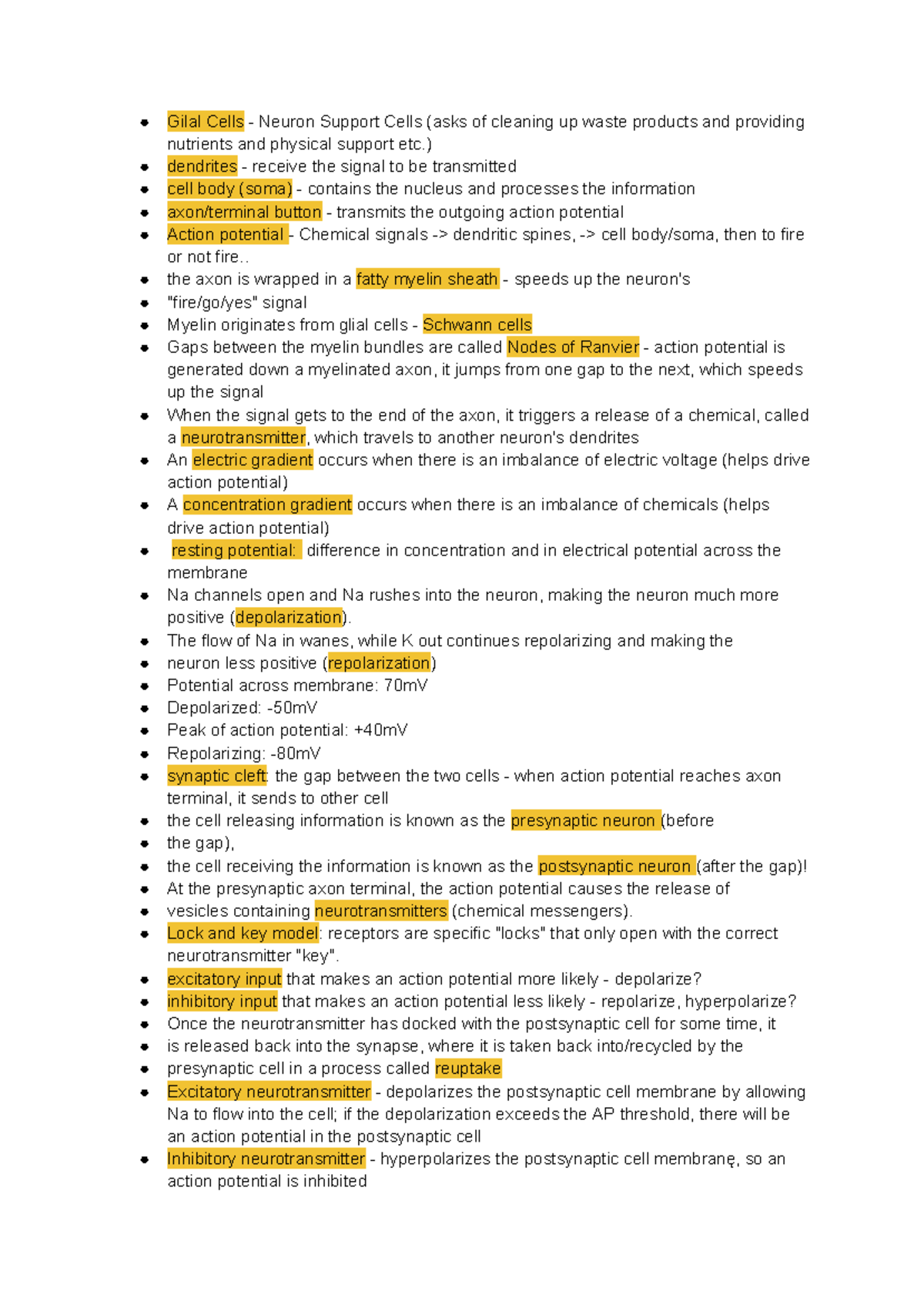 Psych 1002: Neuron and Brain Overview Chapter Notes - Studocu