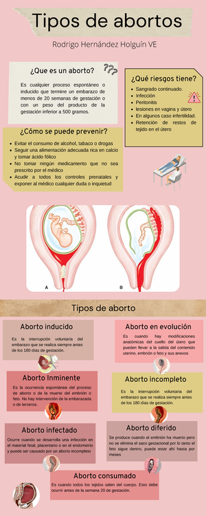 Capas Germinales: Ectodermo, Mesodermo y Endodermo en Desarrollo ...