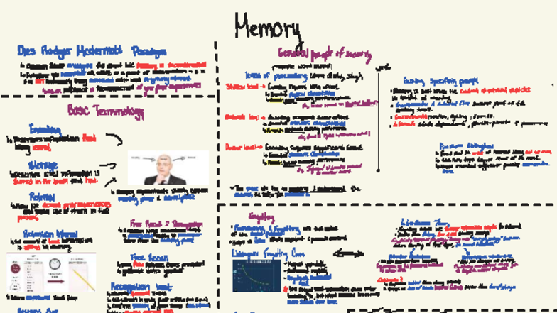 Module Notes: Common vs. Uncommon Experiences in Memory - Studocu