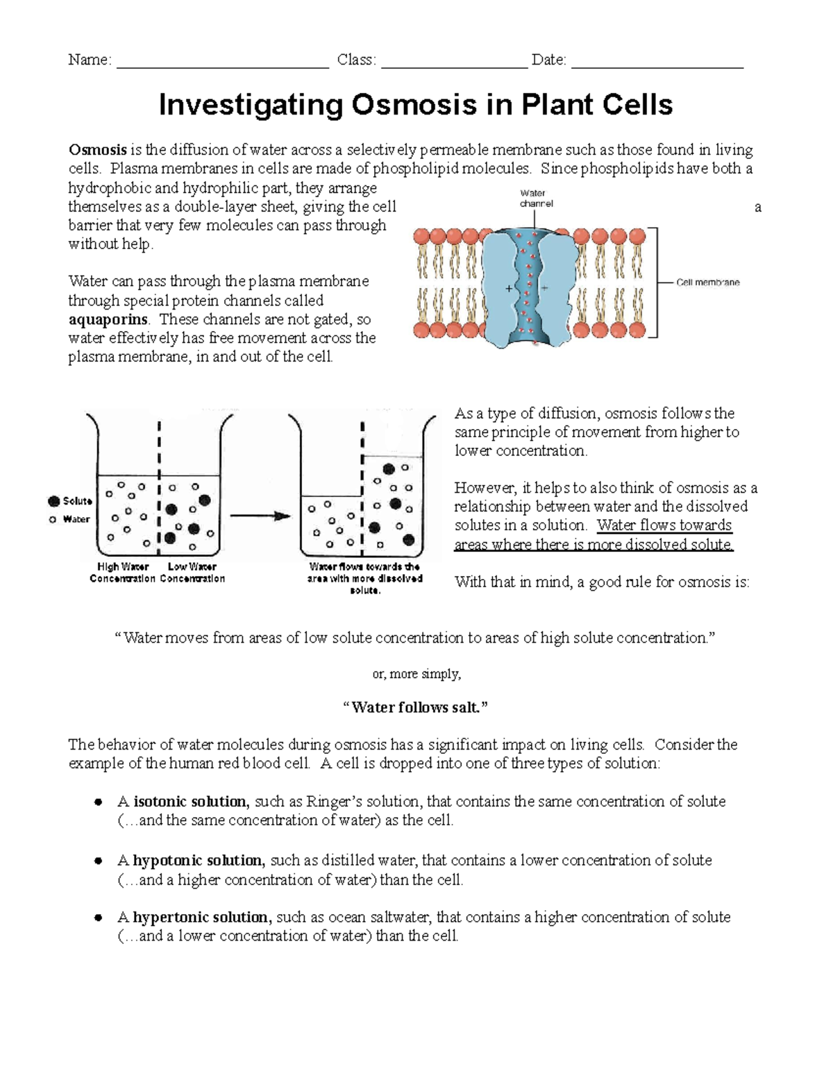 Osmosis in Plant Cells Lab: Investigation & Analysis - Studocu
