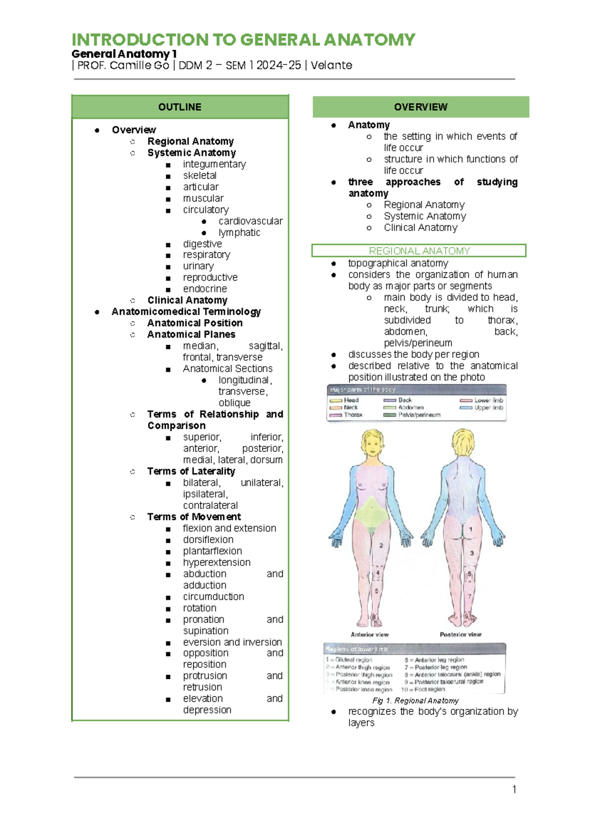 SEM1 GEN-ANA Introduction - General Anatomy 1 | PROF. Camille Go | DDM ...