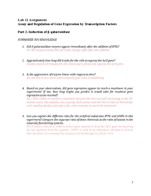 Lab 5 Assignment - Lab 5 Assignment Microscopic Examination of Cell Structure—A Guided Tour ...