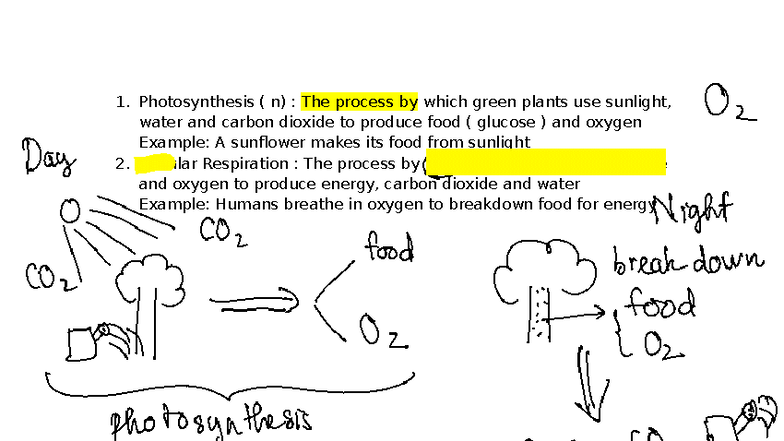 Vnhi Ecology Quiz 2 - Key Concepts and Definitions - Studocu
