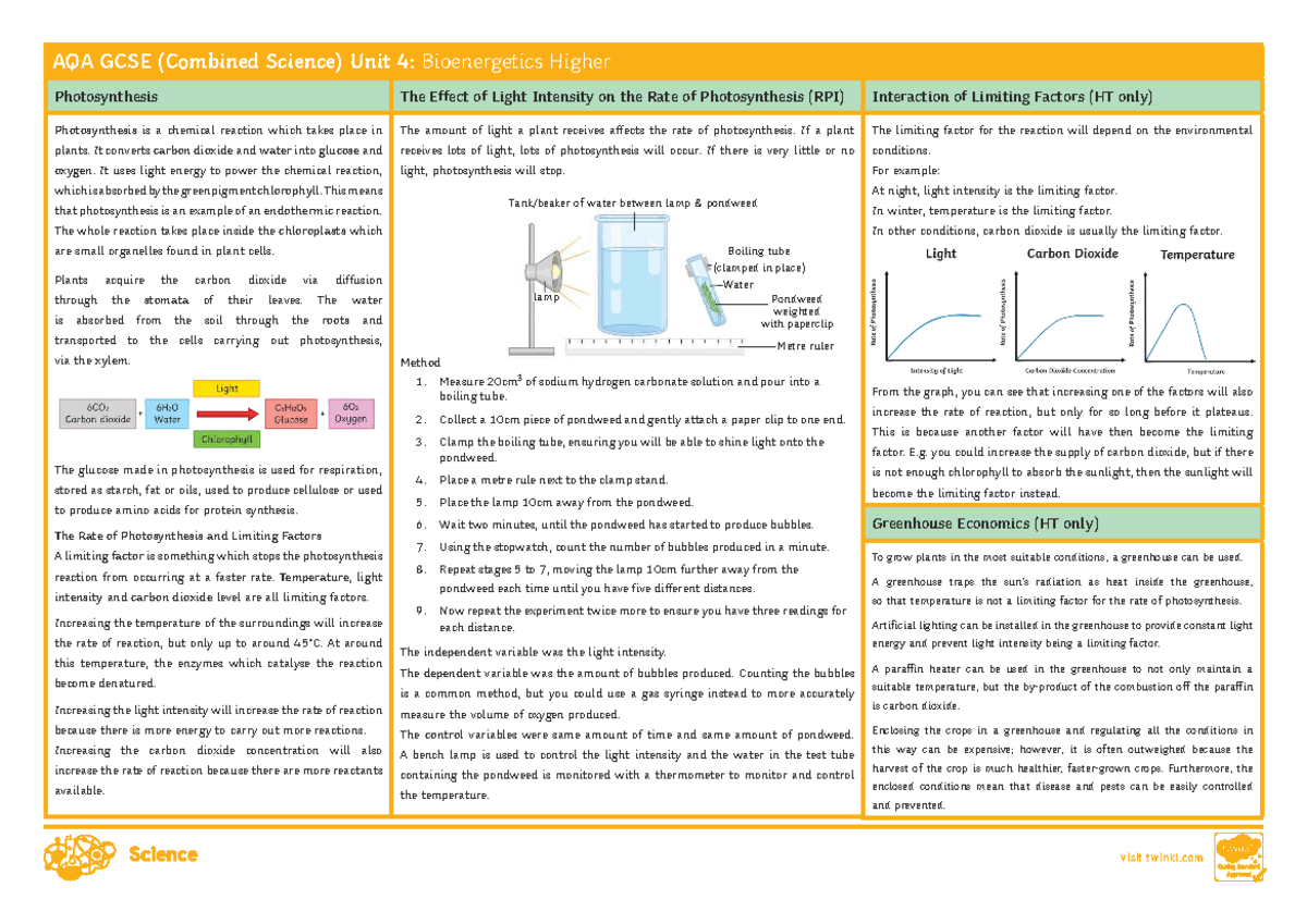 AQA GCSE Bioenergetics Revision Notes for Higher Tier (Unit 4) - Studocu