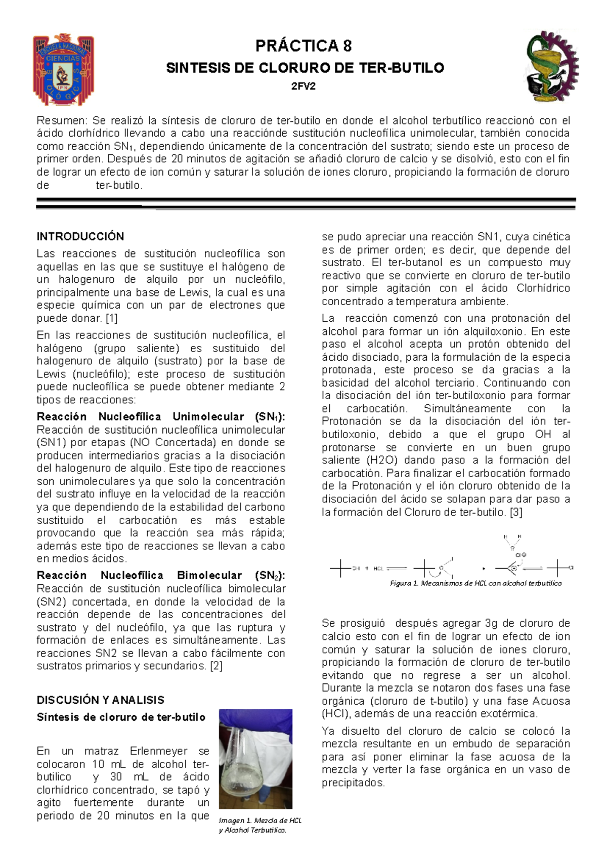 SINTESIS DE CLORURO DE TER-BUTILO - Figura 1. Mecanismos de HCL con ...