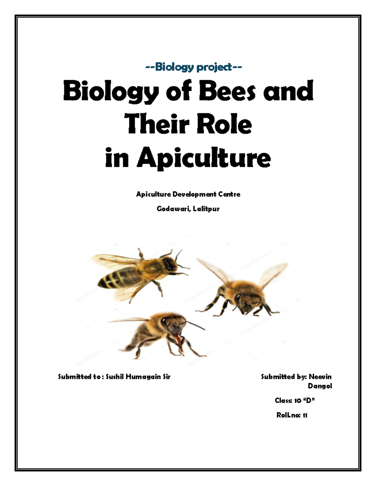 Biology of Bees and Their Role in Apiculture (Class 10) - Studocu