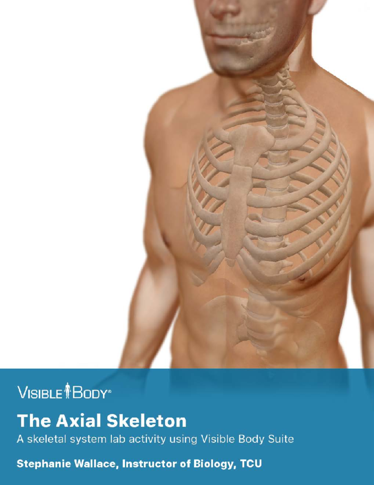 Lab manual axial skeleton atlas - PRE-LAB EXERCISES When studying the ...