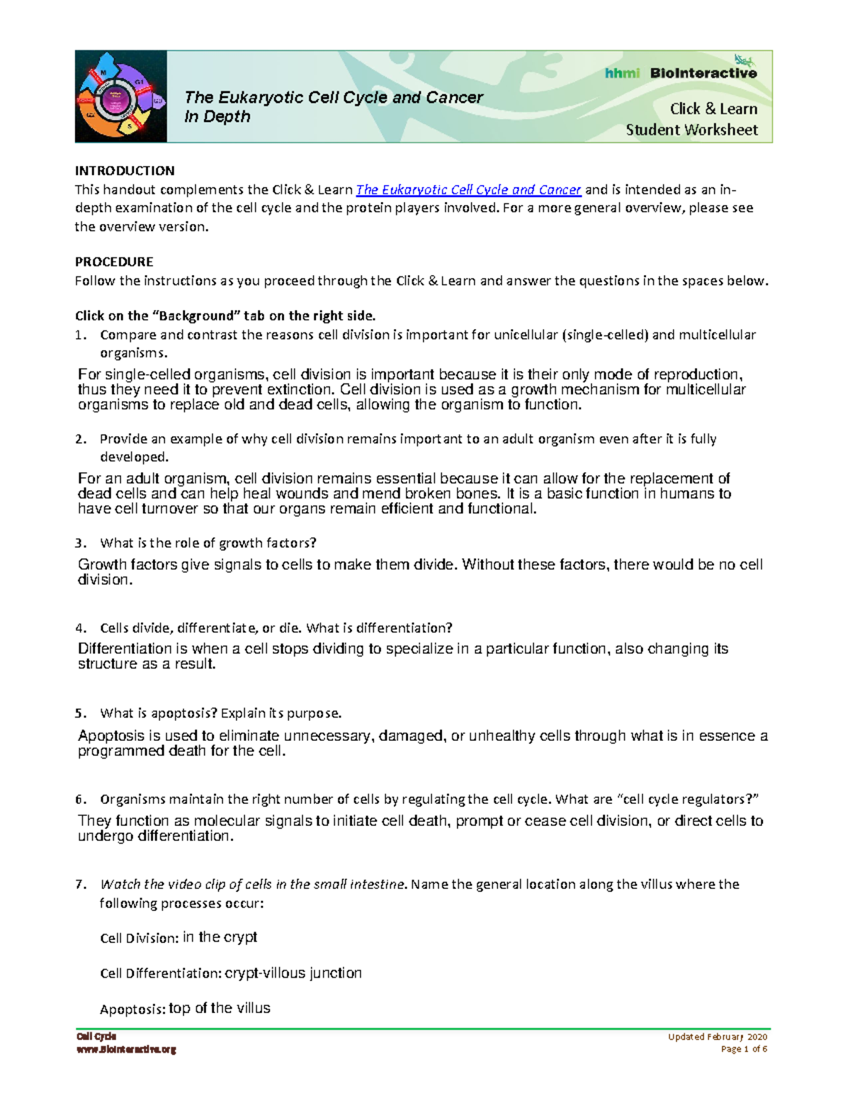 Cell Cycle and Cancer HHMI Worksheet - Click & Learn Student Worksheet ...