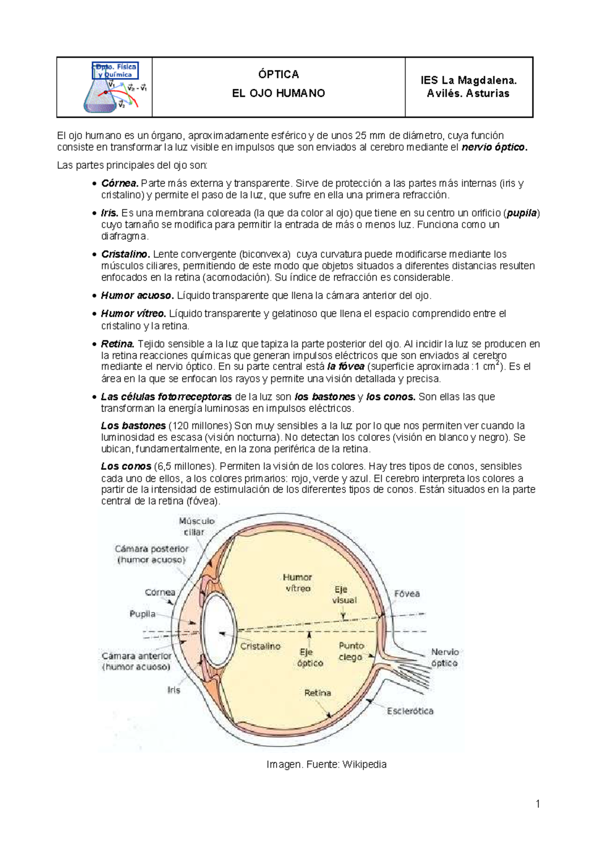 Óptica del Ojo Humano - Física 2º Bachillerato IES La Magdalena - Studocu