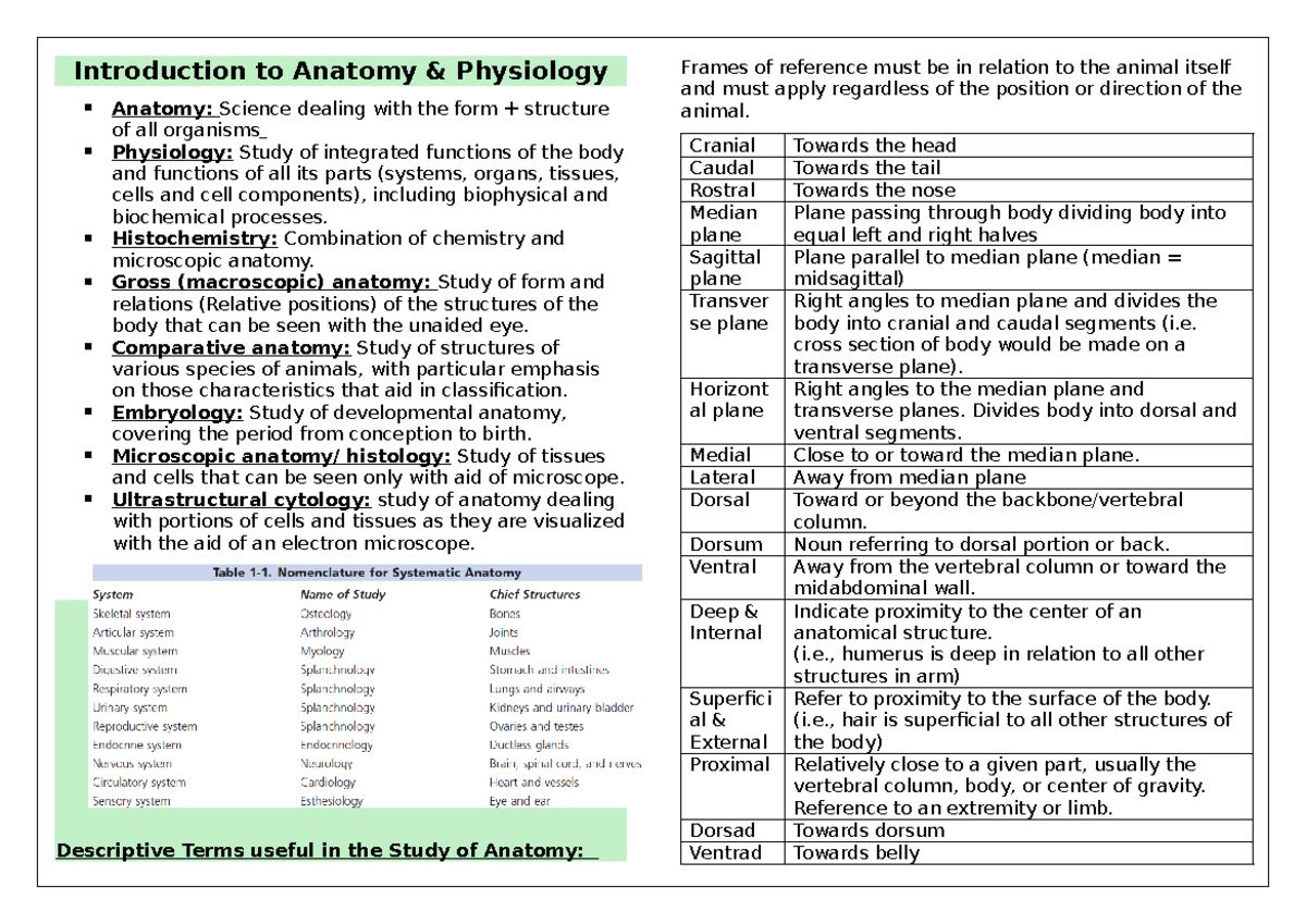 Introduction to Animal Anatomy and Tissues: Key Concepts and Overview ...
