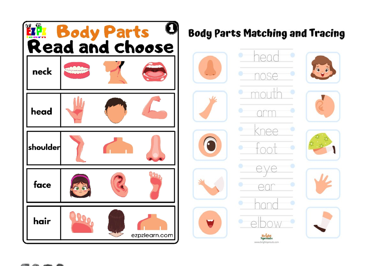 Coloring Activities - Mother Tongue - Body Parts 1 Body Parts Matching ...