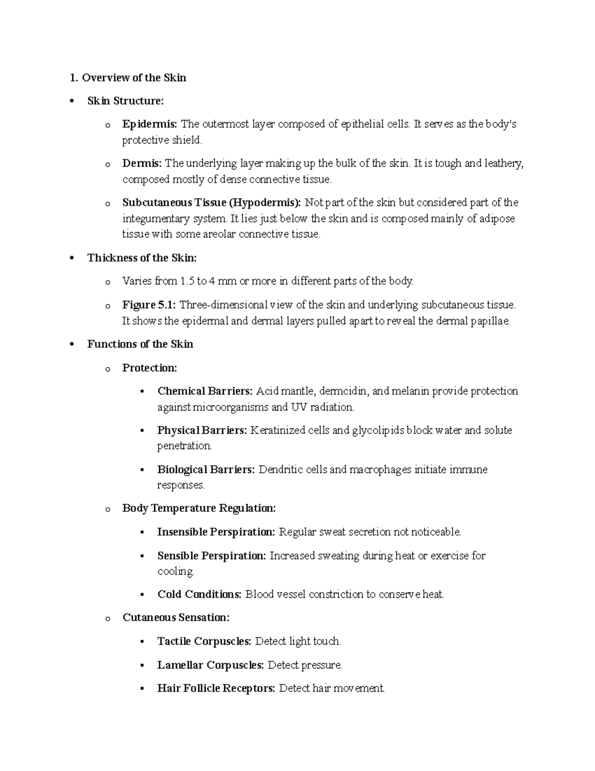 Ch. 5 Study Guide: Comprehensive Overview of Skin Structure & Functions ...