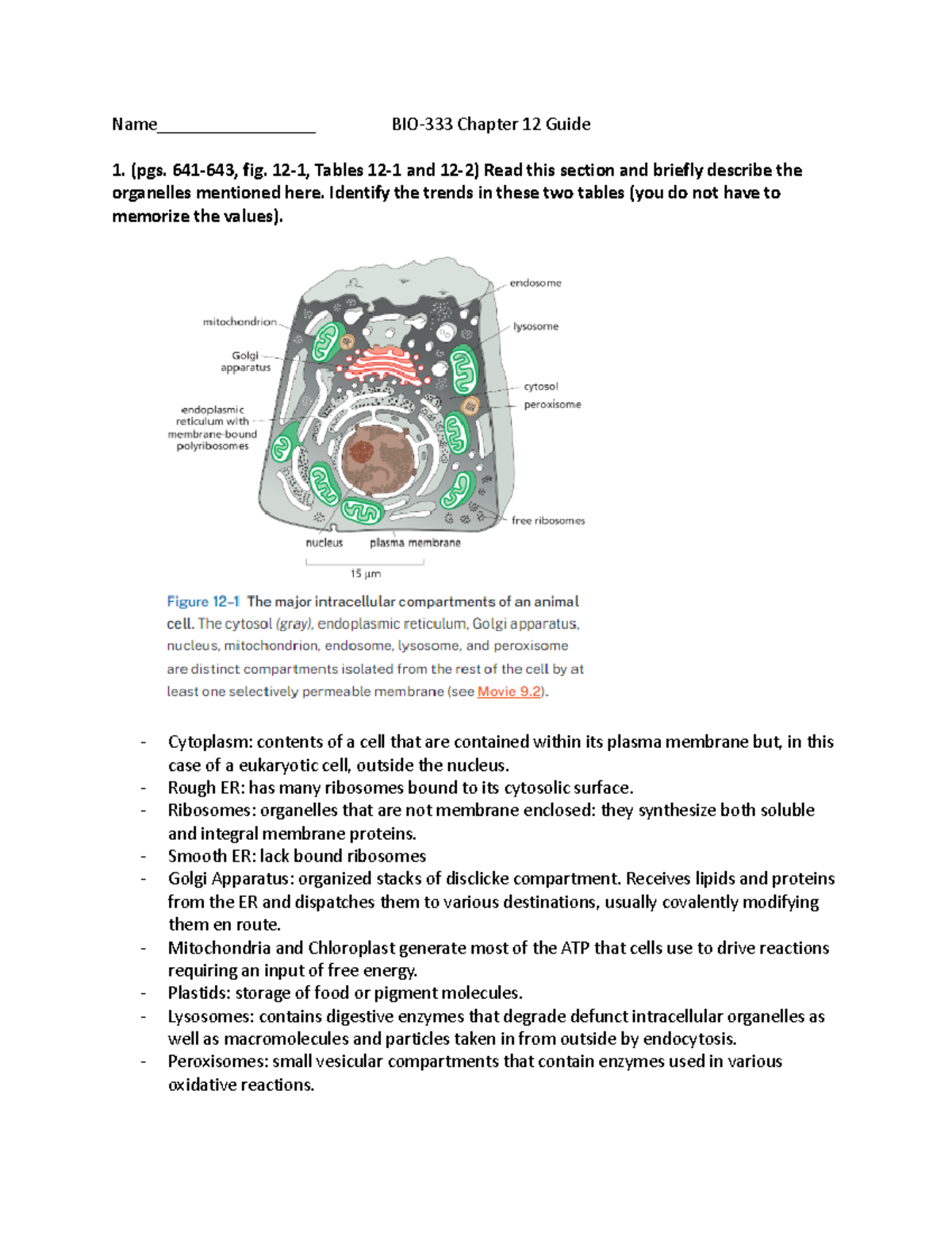 BIO-333 Chapter 12 Organelle and Protein Transport Overview - Studocu