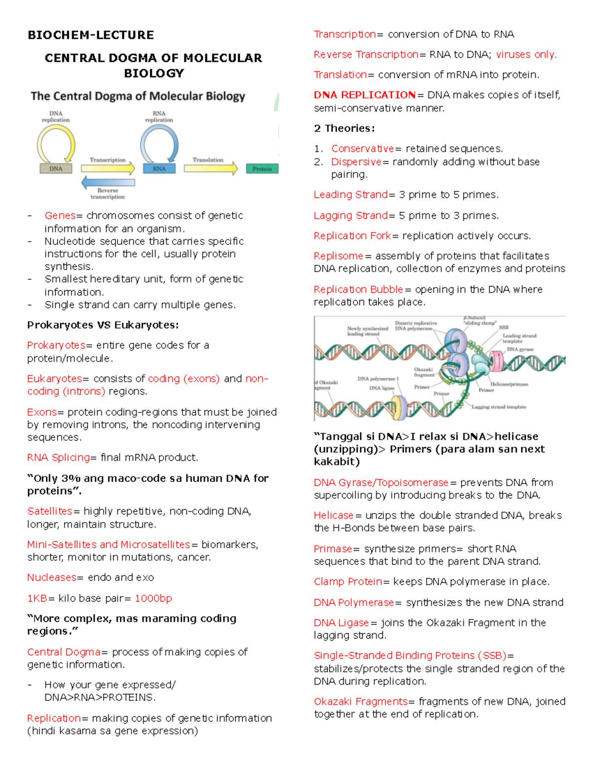 Central Dogma of Molecular Biology: DNA, RNA, and Protein Synthesis ...
