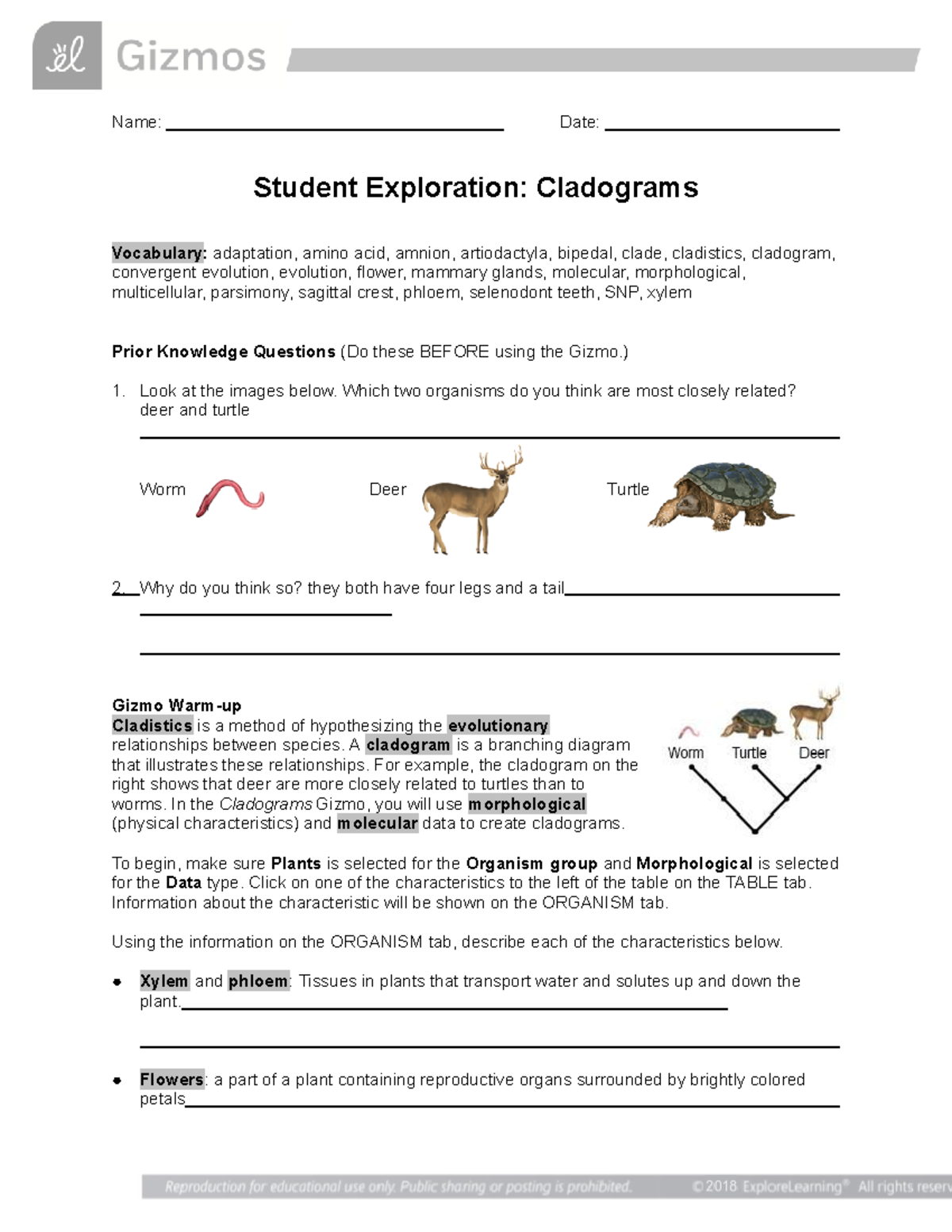 Cladograms Study Guide for Biology 101: Test Prep Notes - Studocu