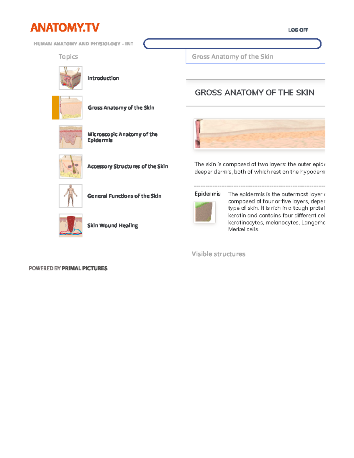 WEEK6 - WEEK 6 - HUMAN ANATOMY AND PHYSIOLOGY - INTEGUMENTARY SYSTEM ...