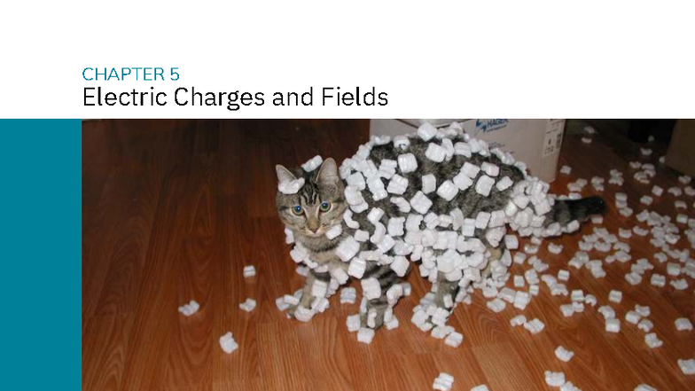 CHAPTER 5: Electric Charges and Fields - Key Concepts and Principles ...
