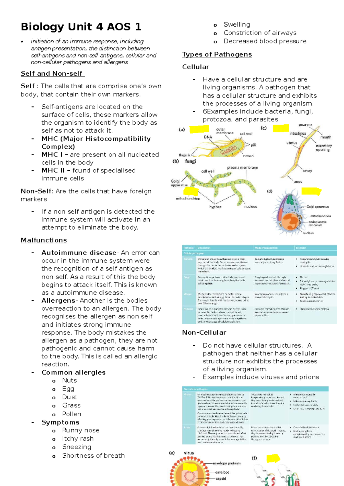 Biology Unit 4 AOS 1: Immune Response and Pathogen Defense Notes - Studocu