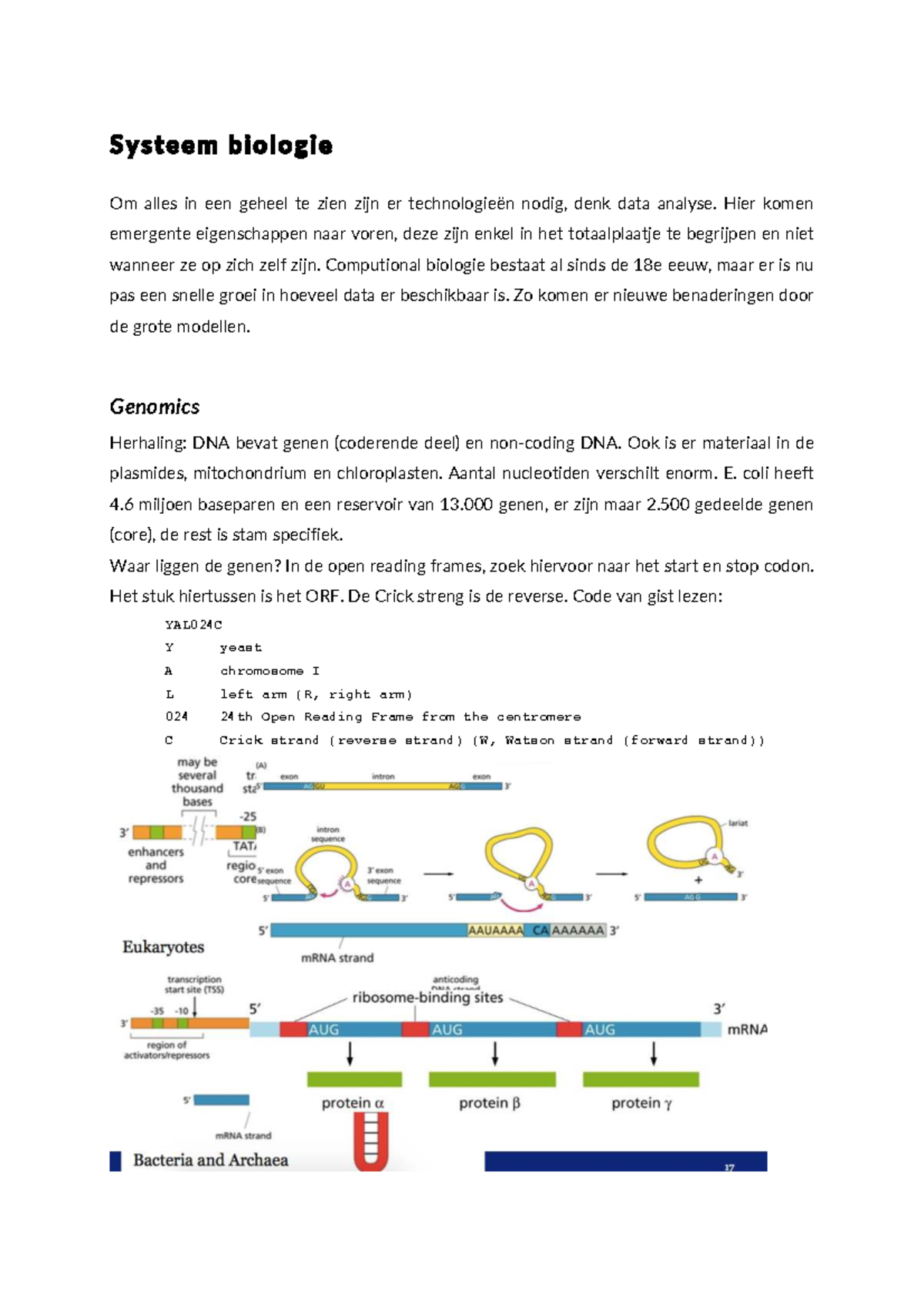 Systeem Biologie: Genomics, Transcriptomics en Proteomics Overzicht ...